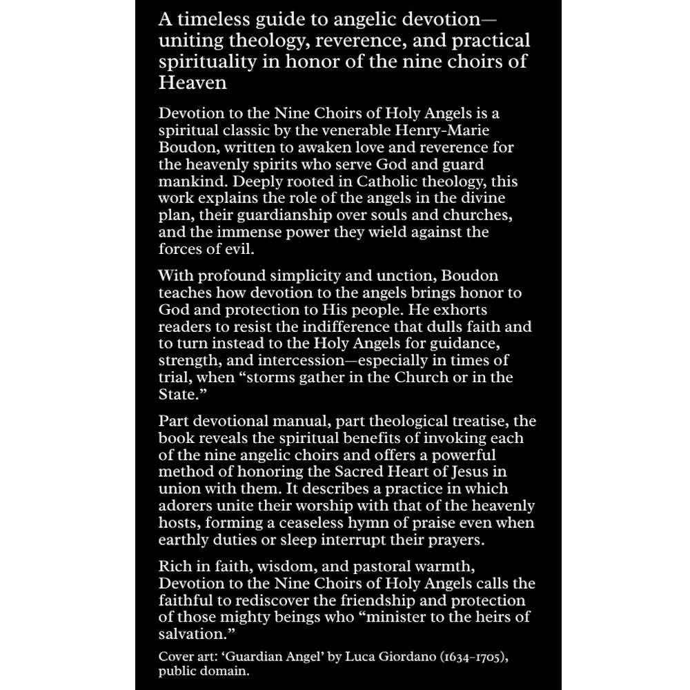 Devotion to the Nine Choirs of Holy Angels – Preserving Christian ...